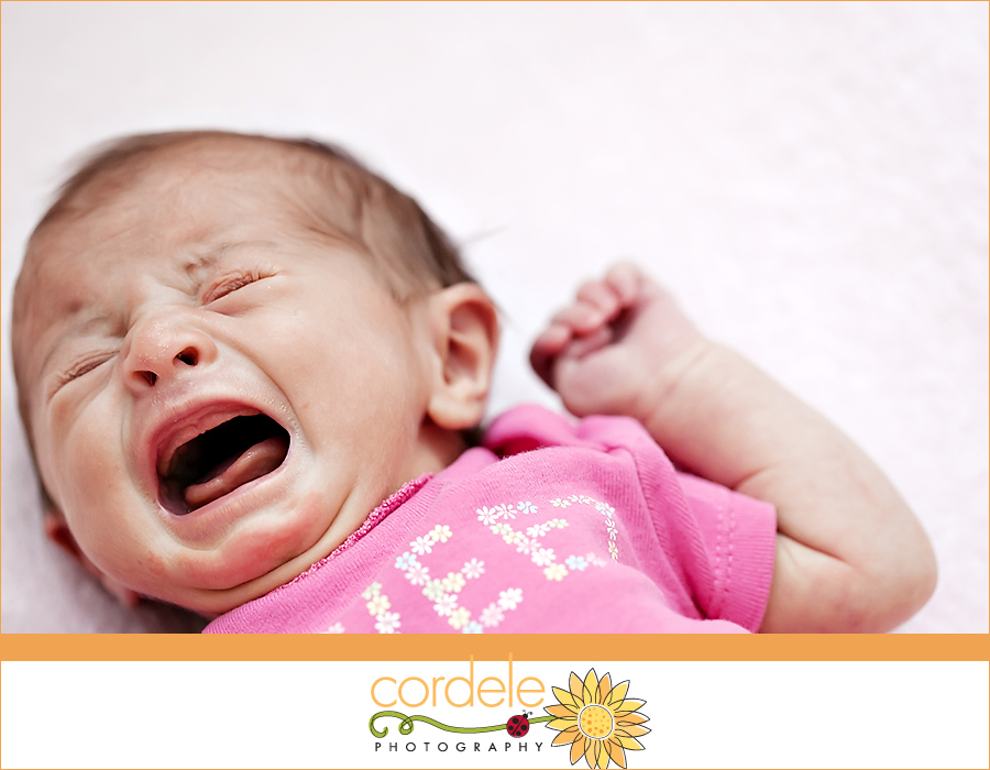 beth3 - Boston, Nantucket, Cape Cod, Newport Wedding Photographer